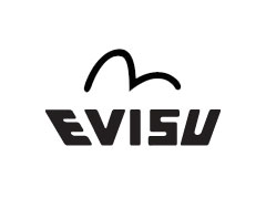 Evisulogo