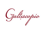 Galtiscopio 迦堤手表logo